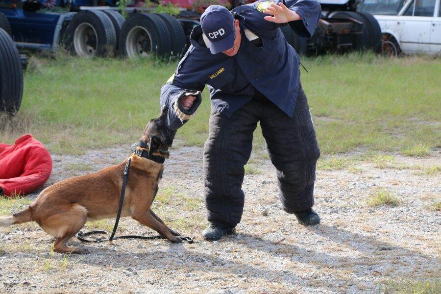 K-9 Team – City of Columbia Police Department